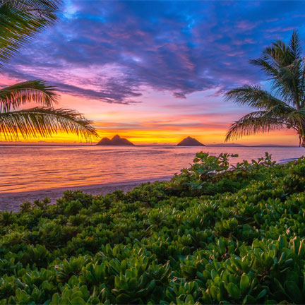 Oahu Vacation Packages | Costco Travel